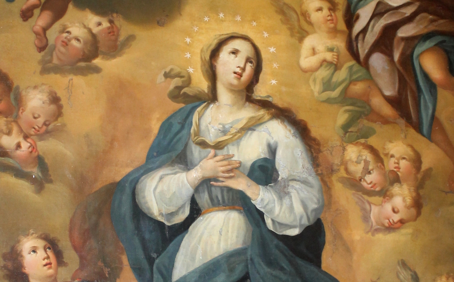 Immagini di Buona Immacolata